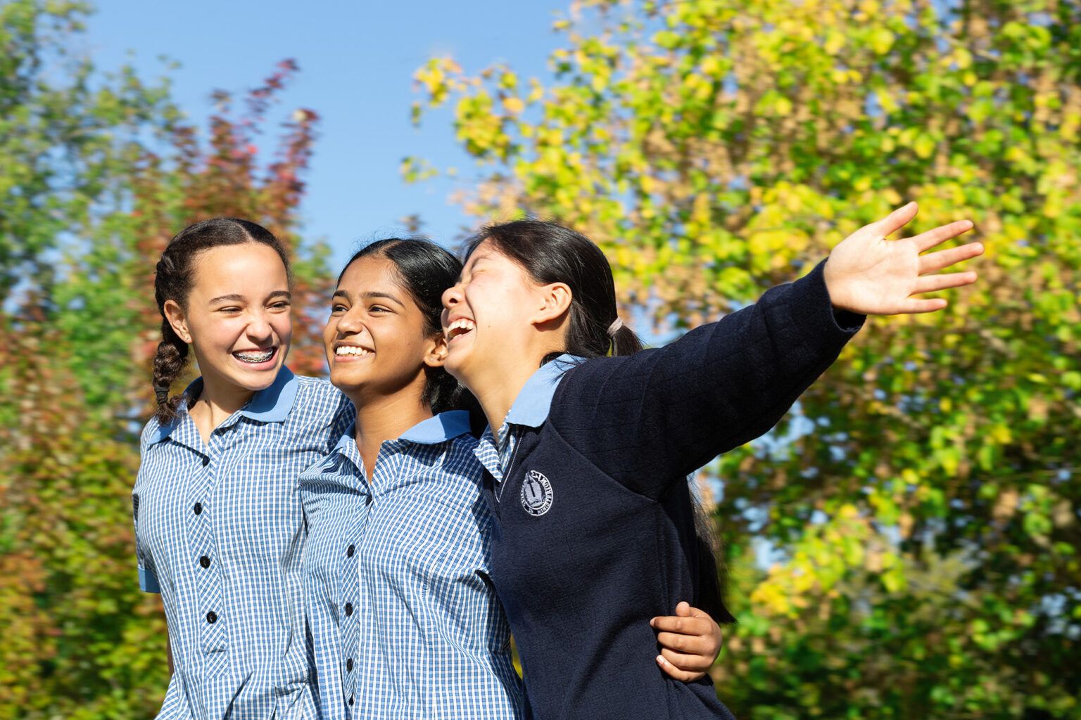 CAMBERWELL GIRLS GRAMMAR SCHOOL - School Choice