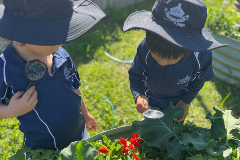 Mosman Preparatory School - School Choice